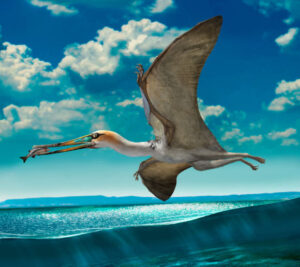 147-Million-Year-Old Pterosaur Fossil Discovered in England | Sci.News