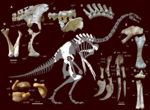 Bizarre New Species of Therizinosaur Had Two-Fingered Hands | Sci.News
