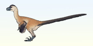 New Bird-Like Dinosaur from Mongolia Had Extremely Robust Hands | Sci.News