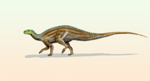 New Fossils from West Texas Extend Known Range of Tenontosaurus | Sci.News