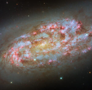 Hubble Space Telescope Captures New Image of NGC 1792 | Sci.News