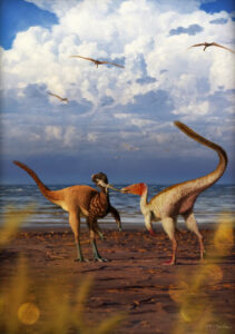 Two Species of Coelurosaurs Co-Existed in Cretaceous-Era Brazil | Sci.News