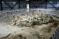 18,000-Year-Old Circular Dwellings Made of Mammoth Bones Unearthed in ...