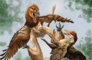 New Microraptorine Dinosaur Discovered in China | Sci.News