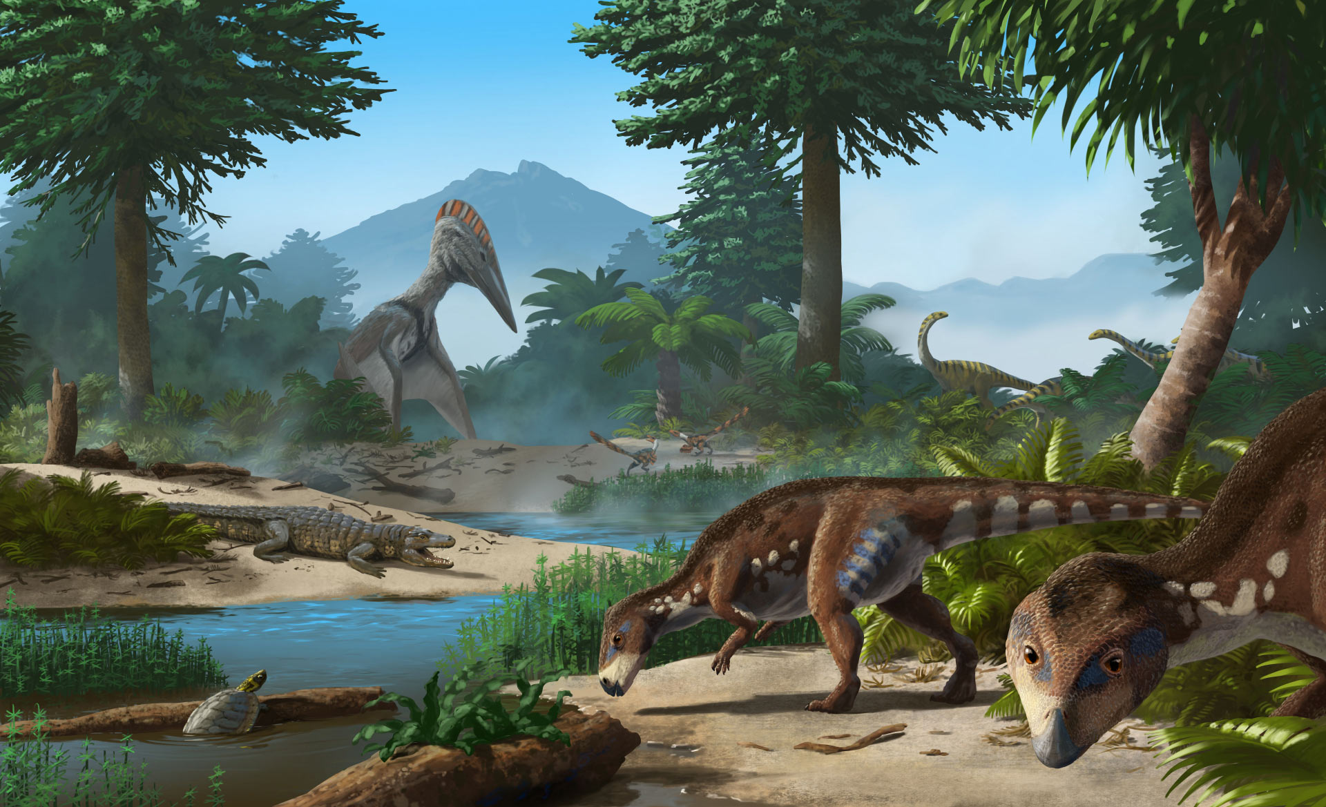 Paleontologists Identify New Species Of Herbivorous Dinosaur Sci News Paleontologists Identify New Species Of Herbivorous Dinosaur Sci News