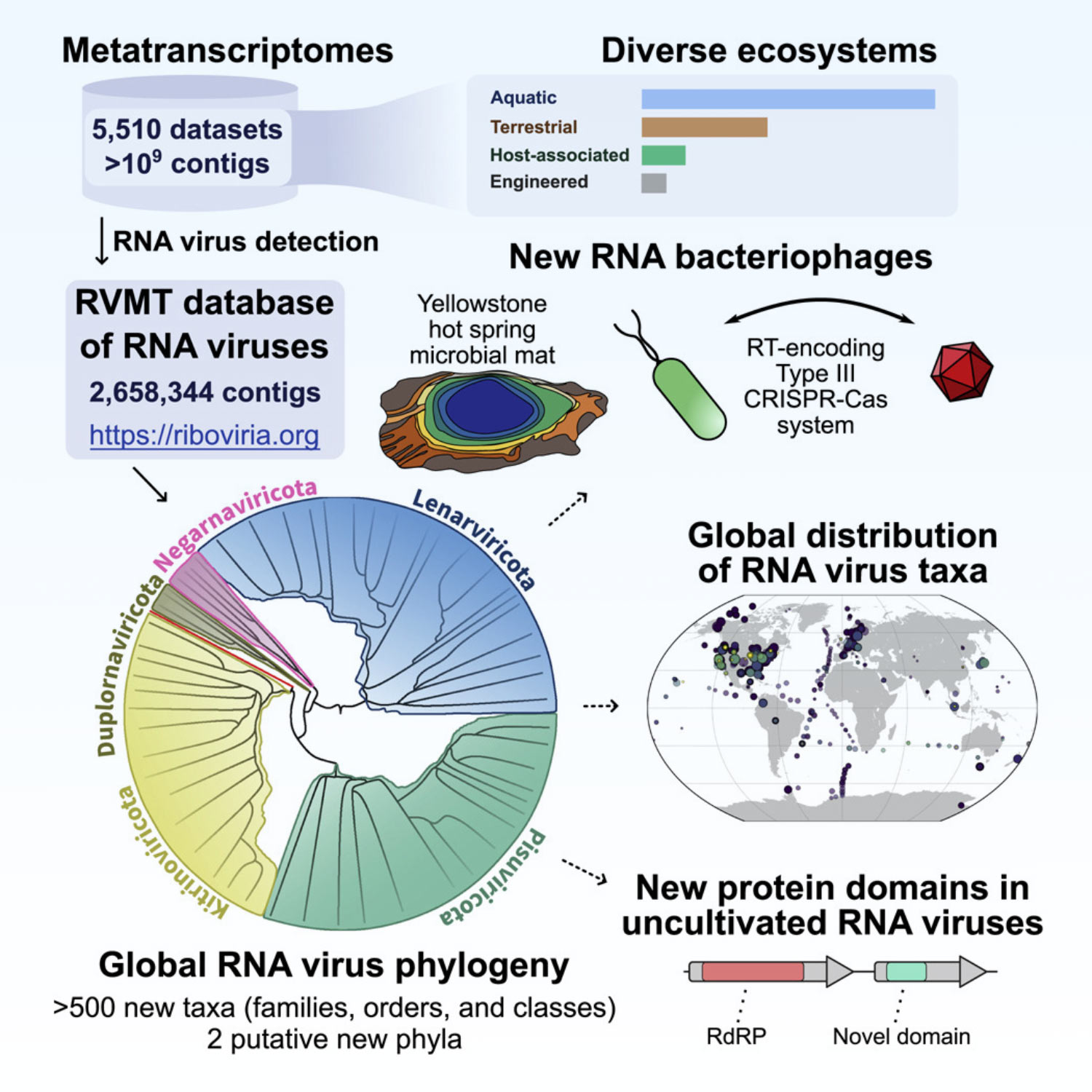 Biologists Discover Over 100 000 New Types Of RNA Viruses Sci News