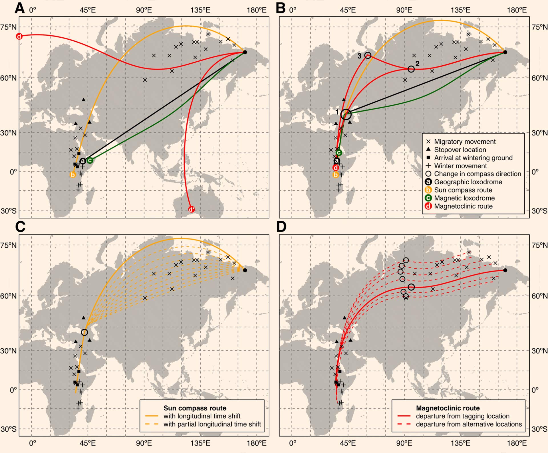 Study Siberian Willow Warblers Migrate Incredible 8 000 Miles One Way Study Siberian Willow Warblers Migrate Incredible 8 000 Miles One Way
